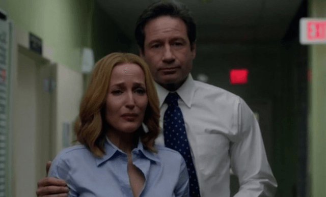 “I felt ripped off” – David Farrier on the tumultuous tenth season of ...