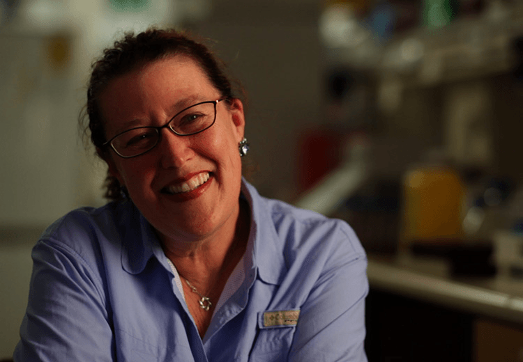 The creator of Why Am I? on taking smart science to the idiot box – and ...