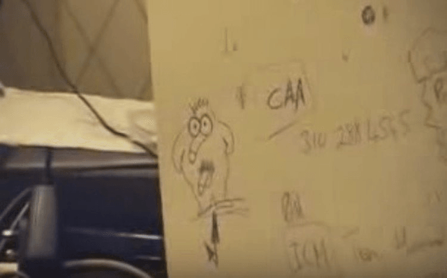 Throwback Thursday: Remembering Finding Leo, the greatest extra feature ...