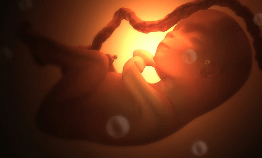 Ian McEwan and his amazing dancing foetus | The Spinoff