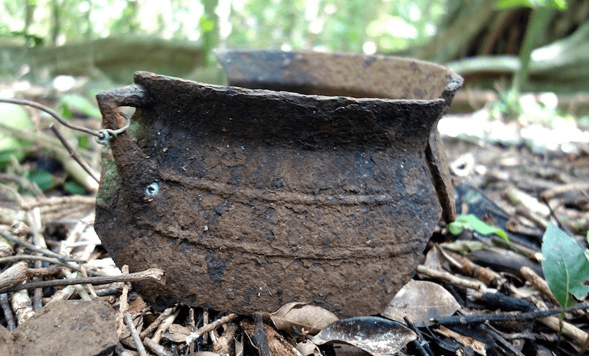 ‘They have six fingers on their hands’: Part 1 of the strange story of ...