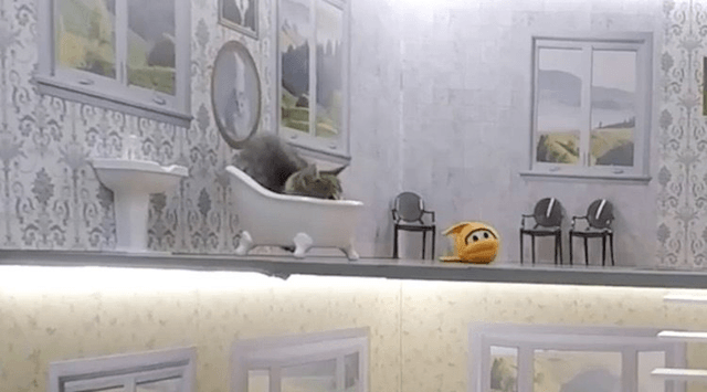 There’s a new cat reality show and fur real, it’s litter-ally purrfect ...