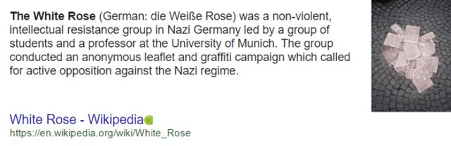 What does The Bachelor NZ’s mysterious white rose really mean? | The ...