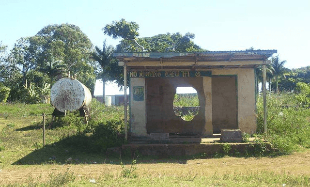 The revolutionary live email interview conducted by Steve Braunias ...