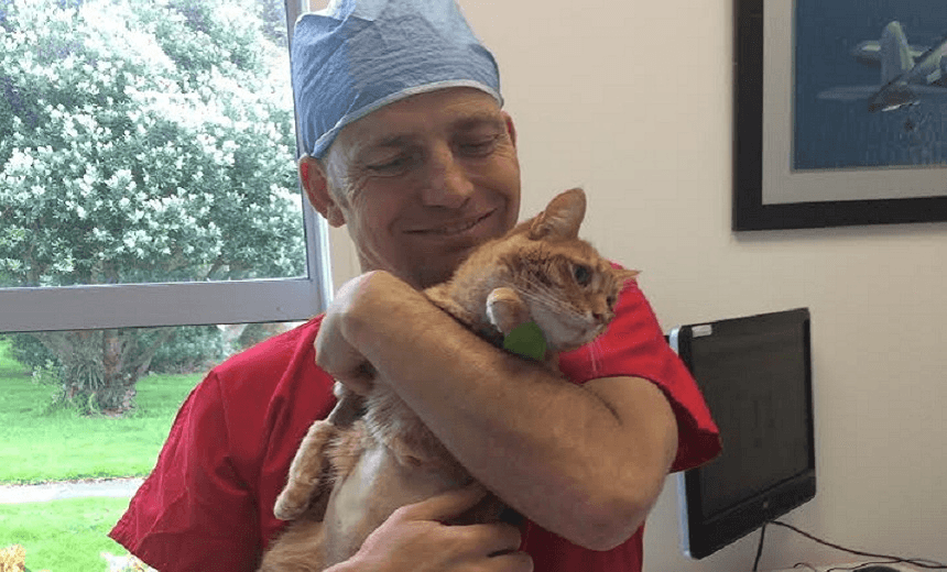 Celebrating our vets on World Veterinary Day: The story of Daniel the ...