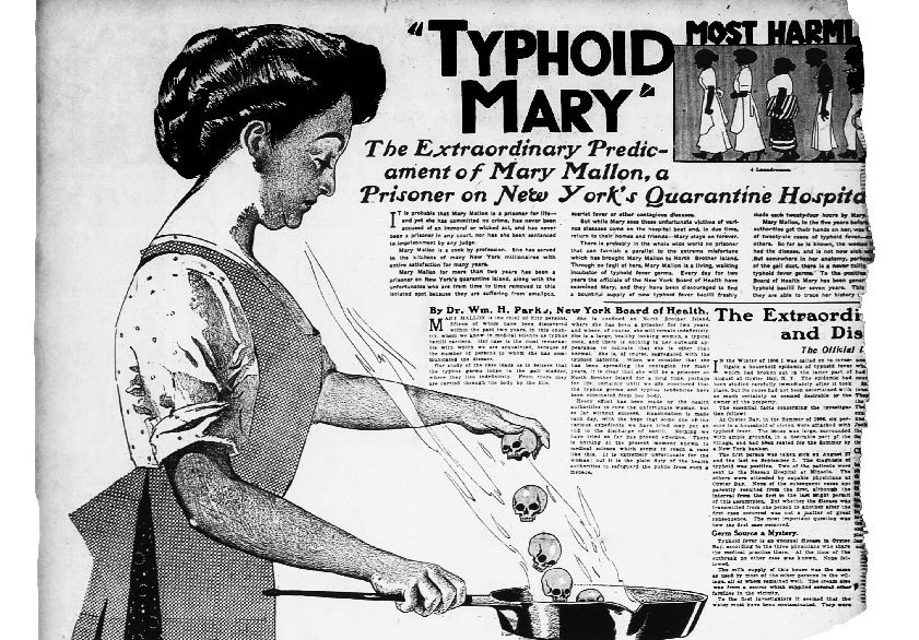 A typhoid outbreak is hitting Auckland. Where did it come from and what ...