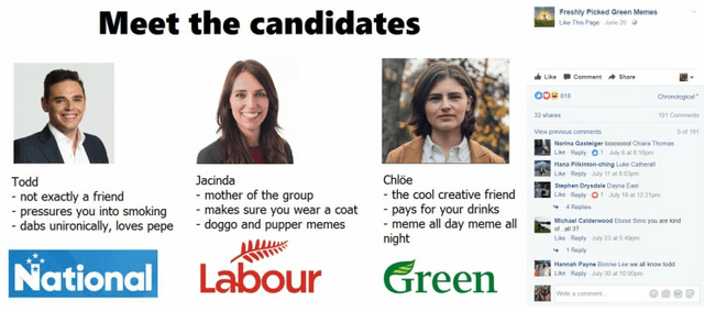 An illustrated guide to New Zealand politics meme pages | The Spinoff