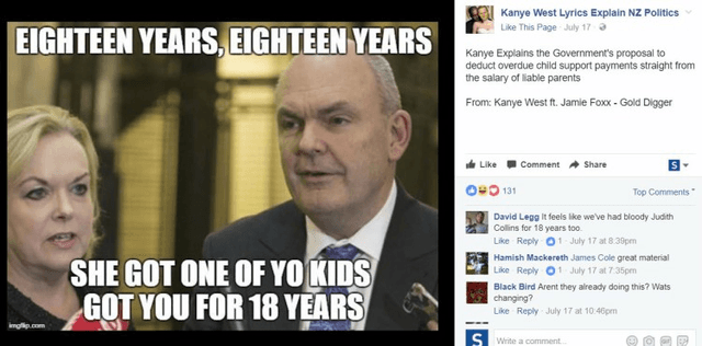An illustrated guide to New Zealand politics meme pages | The Spinoff