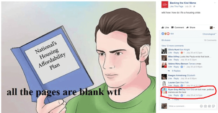 An illustrated guide to New Zealand politics meme pages | The Spinoff