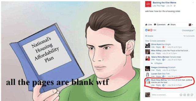 An illustrated guide to New Zealand politics meme pages | The Spinoff