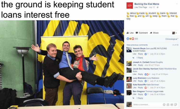 An illustrated guide to New Zealand politics meme pages | The Spinoff