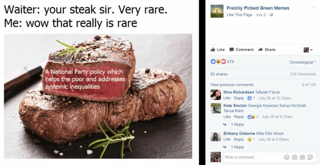 An illustrated guide to New Zealand politics meme pages | The Spinoff