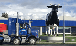 Tinkerbell the pretty communist and other things the dairy farmers said ...