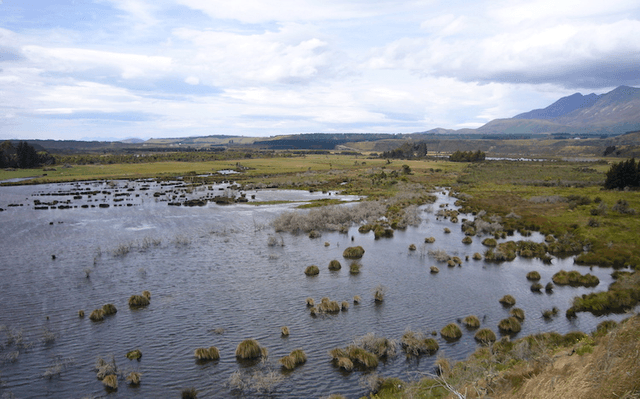 What you need to know about the proposed freshwater reforms | The Spinoff