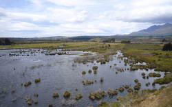 What you need to know about the proposed freshwater reforms | The Spinoff