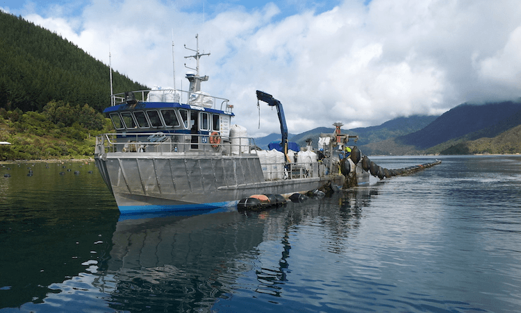 Could lab-grown fish be the answer to the over-fishing crisis? | The ...