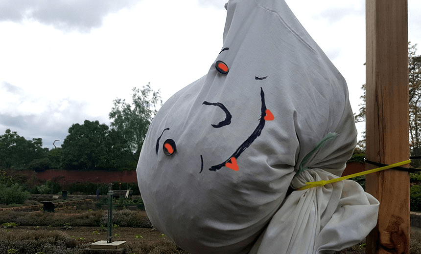 The Spinoff reviews New Zealand #48: the scarecrows of Hamilton Gardens ...