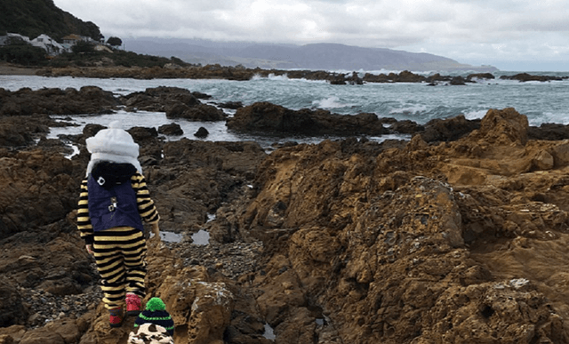 Things to do in Wellington (and around) with kids | The Spinoff