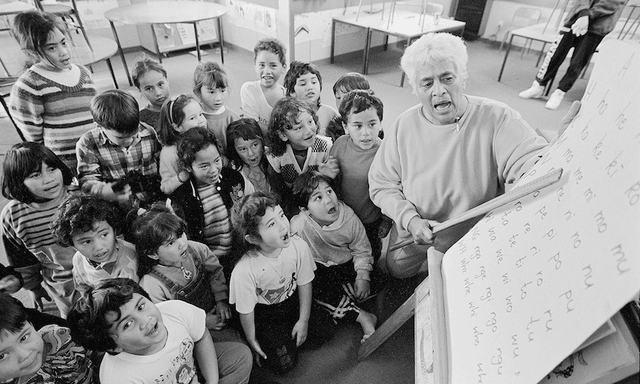 Why public education works for Māori students | The Spinoff
