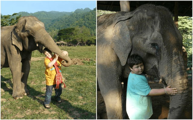 The boy who saved the elephants | The Spinoff