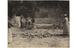 How to prepare the delicious – but poisonous – karaka berry | The Spinoff