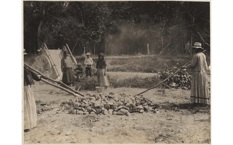 How to prepare the delicious – but poisonous – karaka berry | The Spinoff