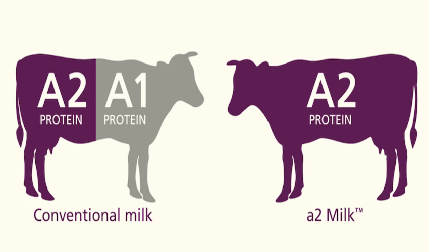 Ten numbers that tell the story of A2 Milk’s astonishing $10 billion ...