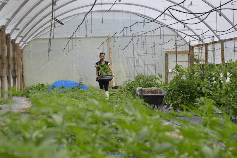 The collectivist plan to revive Ruatoria | The Spinoff