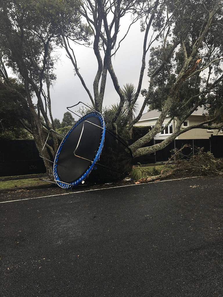 In pictures: the trampolines and pets of Auckland after the storm | The ...