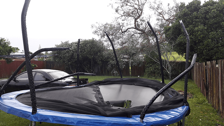 In pictures: the trampolines and pets of Auckland after the storm | The ...