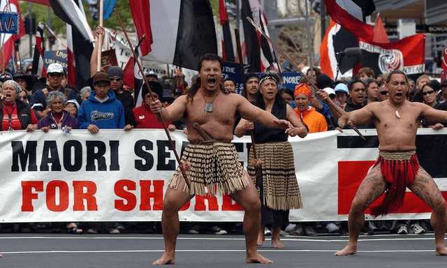 The power, importance, and future of the Māori roll | The Spinoff