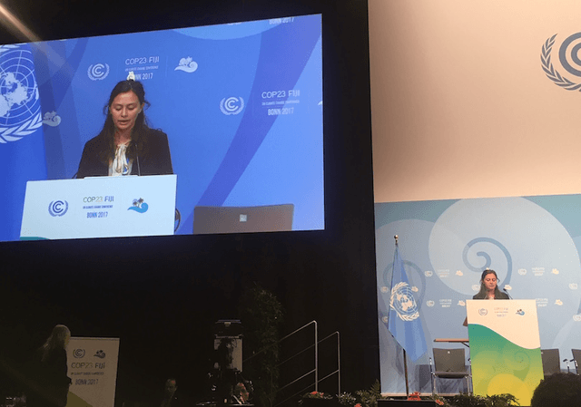 Rangatahi take the UN… again | The Spinoff