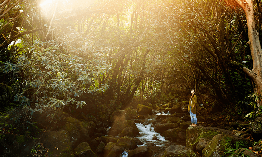 Understanding the world through whakapapa: introducing our new Māori ...