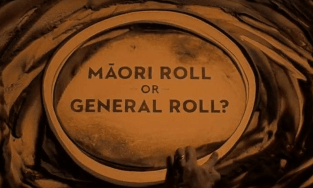 The case for Māori switching to the general roll this election | The ...