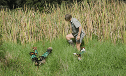 Meet the DOC dogs protecting New Zealand’s native wildlife | The Spinoff