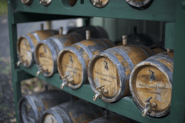 Still life: Meet the Ukrainian nuclear engineer making spirits in Puhoi ...