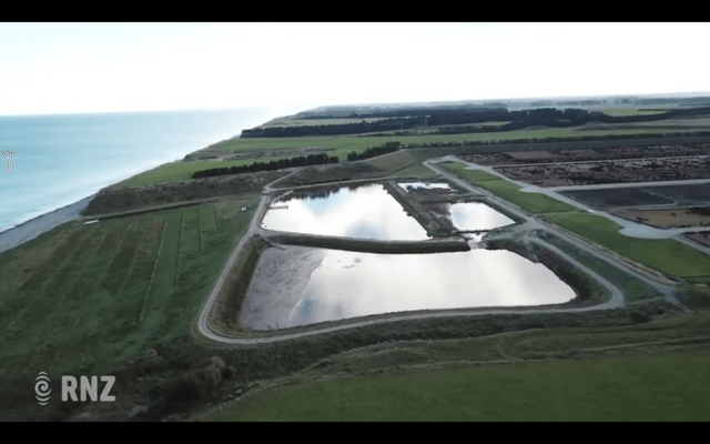 Why you should give a damn about feedlots | The Spinoff