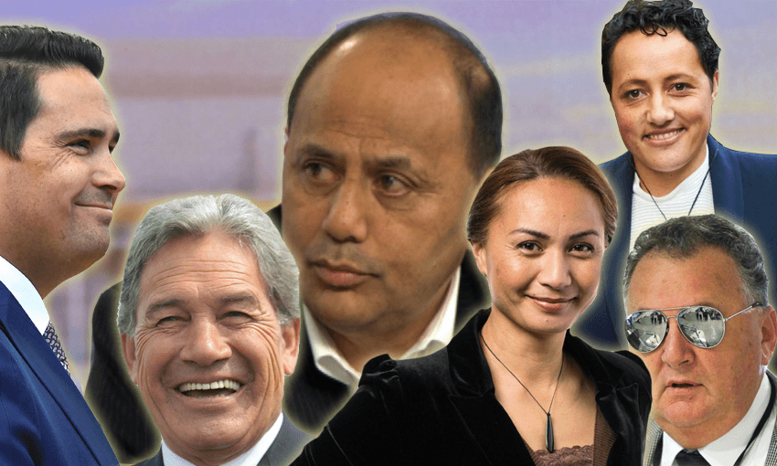 One year in, how have our Māori MPs and ministers rated? | The Spinoff