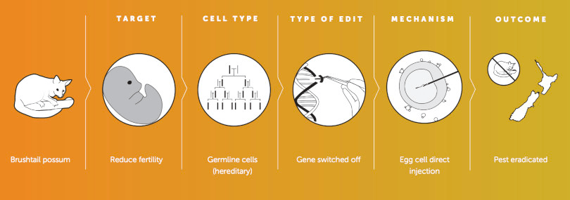 New Zealand’s three-decade ban on genetic modification, explained | The ...
