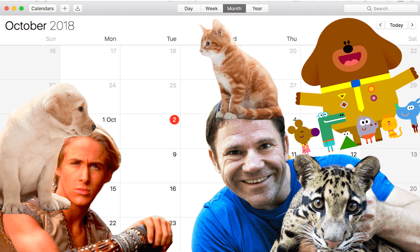 Your Lightbox TV survival guide to the school holidays | The Spinoff