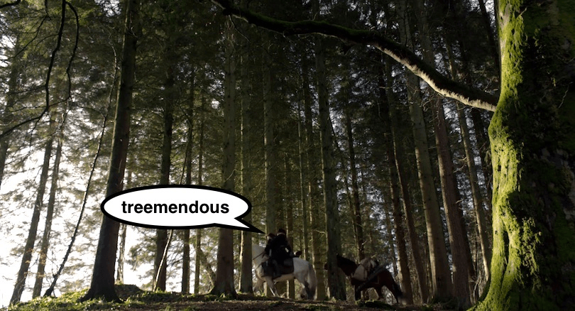 Outlander recap: A long snake in a long drop | The Spinoff