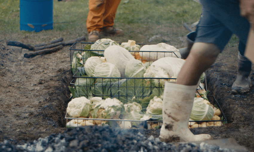 Common ground: Behind the scenes of the hāngī | The Spinoff