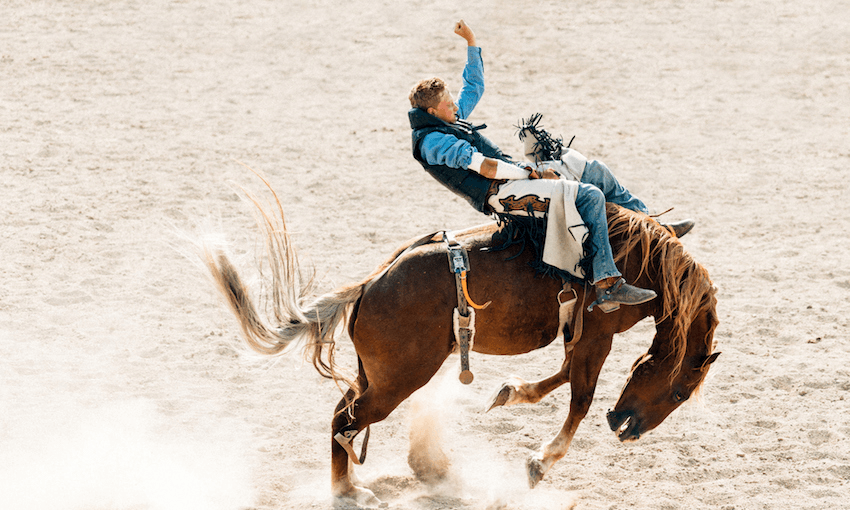 Rodeo is animal cruelty dressed up as entertainment | The Spinoff