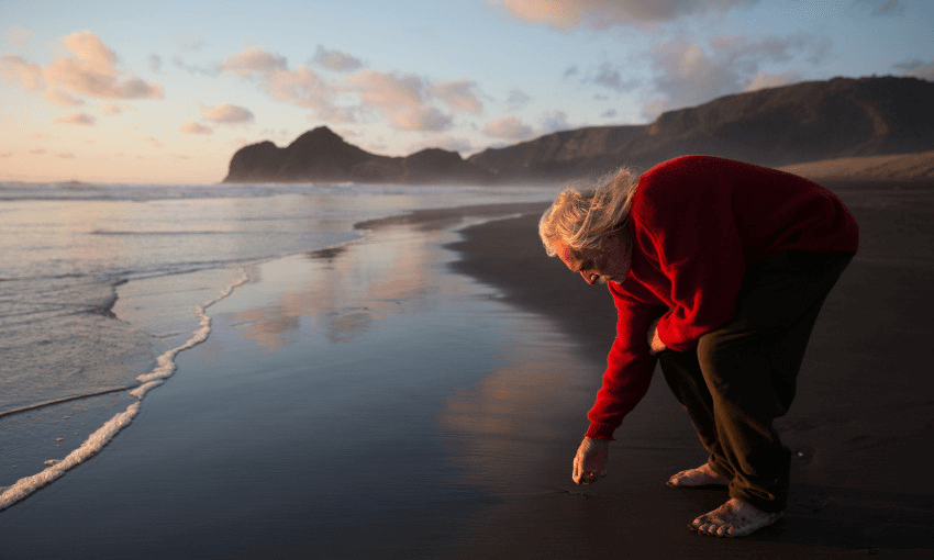 Ambergris, the whale poo worth more than your car | The Spinoff