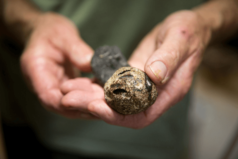 Ambergris, the whale poo worth more than your car | The Spinoff
