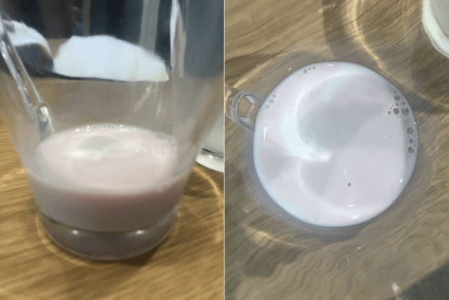 Would you drink Jelly Tip and Goody Goody Gum Drops flavoured milk ...