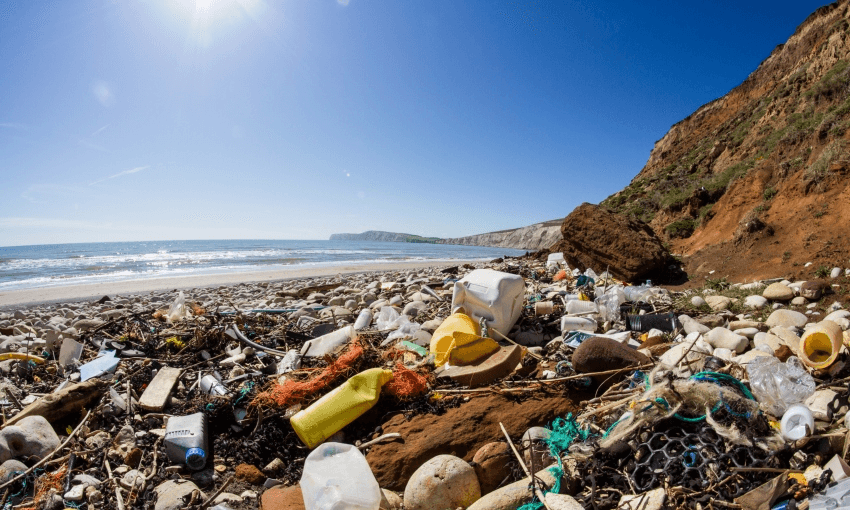 From trash to treasure: finding the value in ocean waste | The Spinoff