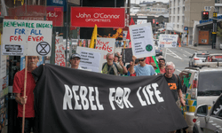 Contemplating the end of the world with Extinction Rebellion | The Spinoff