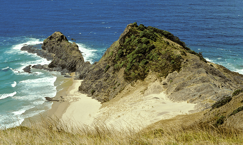 The Friday Poem: ‘All the way to Te Rerenga Wairua’ by Ana Iti | The ...