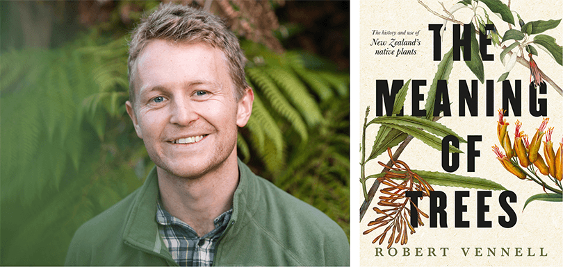 The misunderstood mongrels of the New Zealand bush | The Spinoff